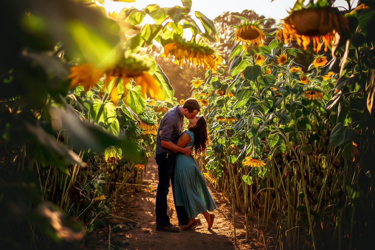 Simcock Farm Top 10 Favorite Photoshoot Locations | Seed & Sage Photo